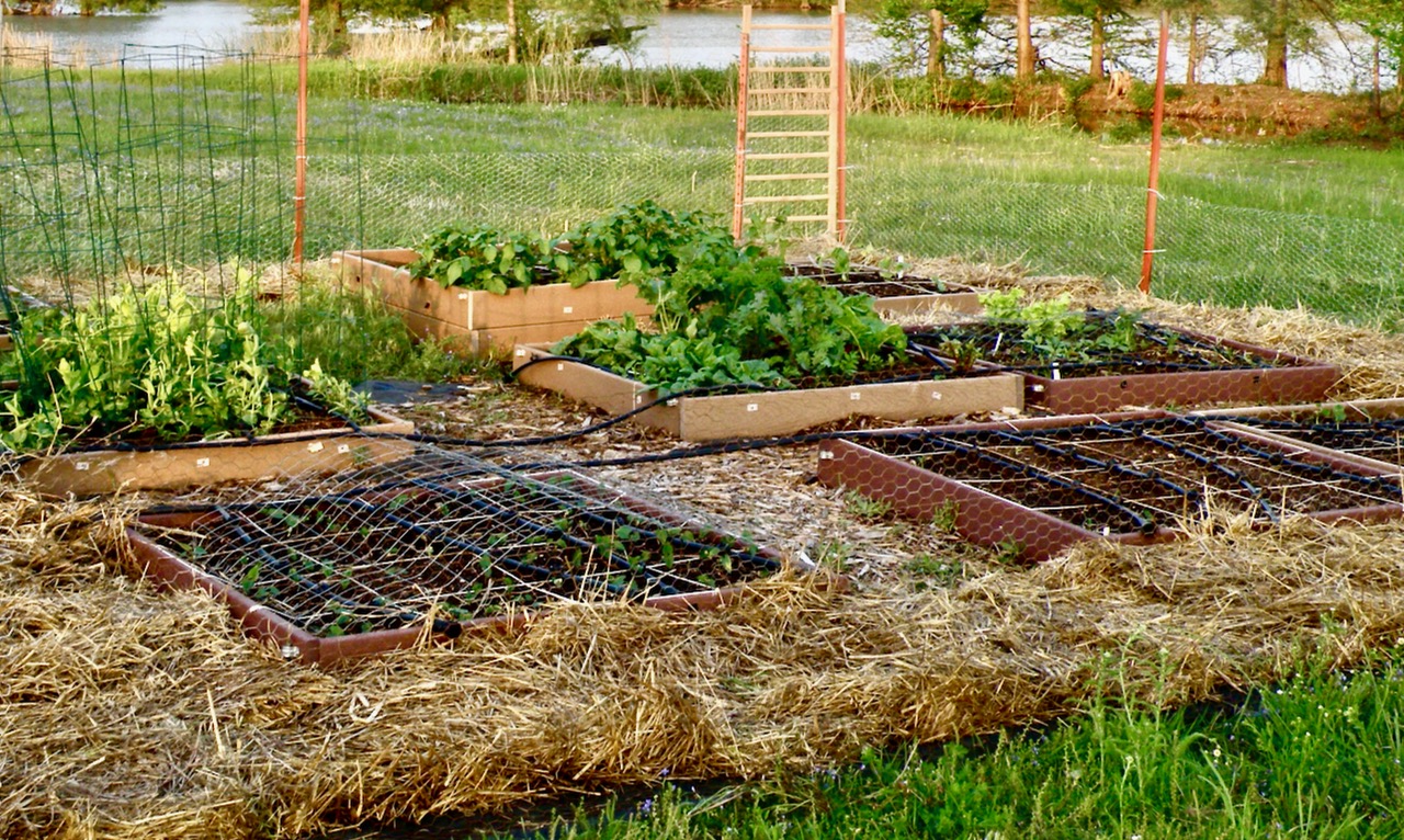 Garden Construction Workshops